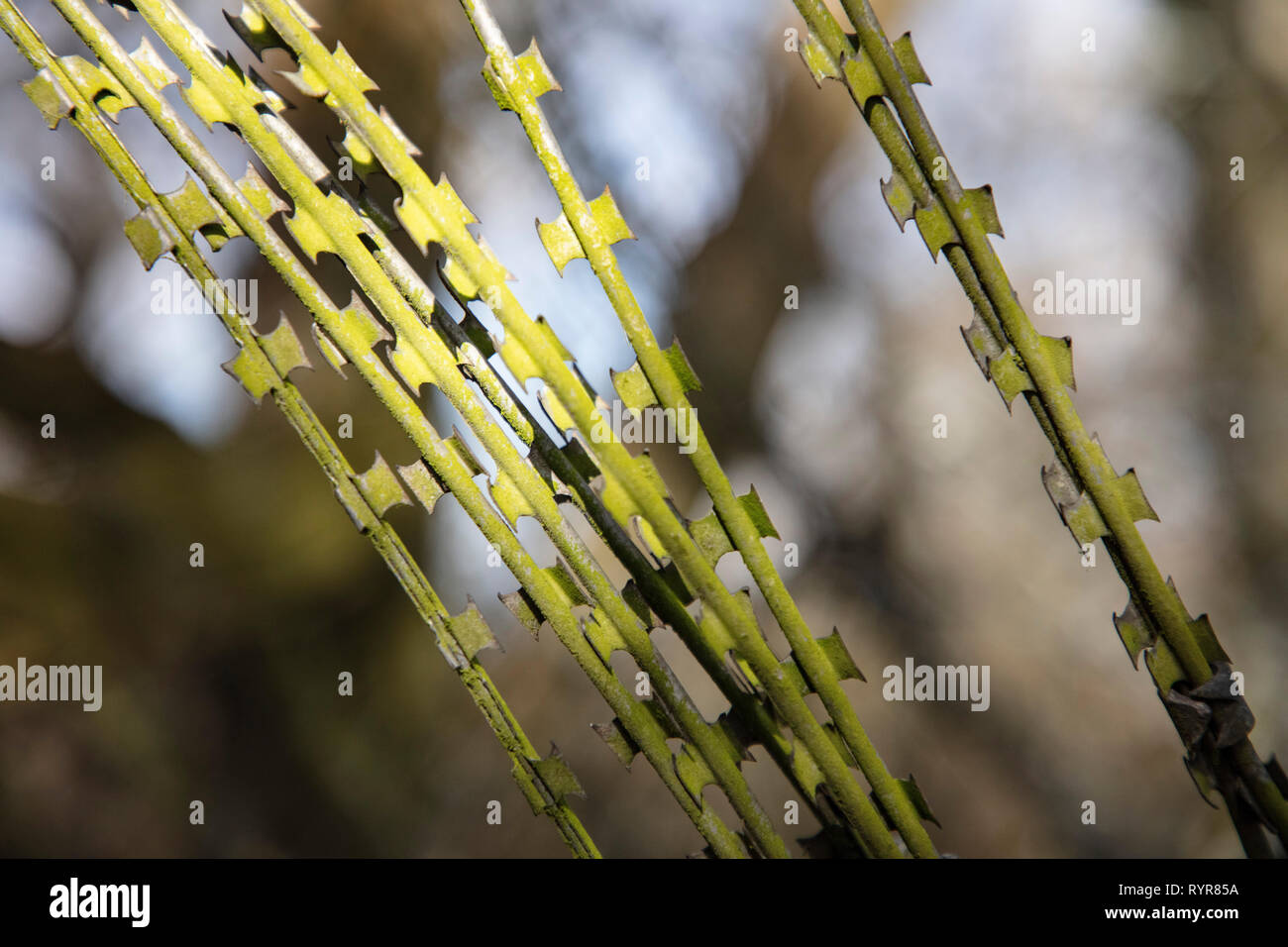 Wire with rust hi-res stock photography and images - Alamy