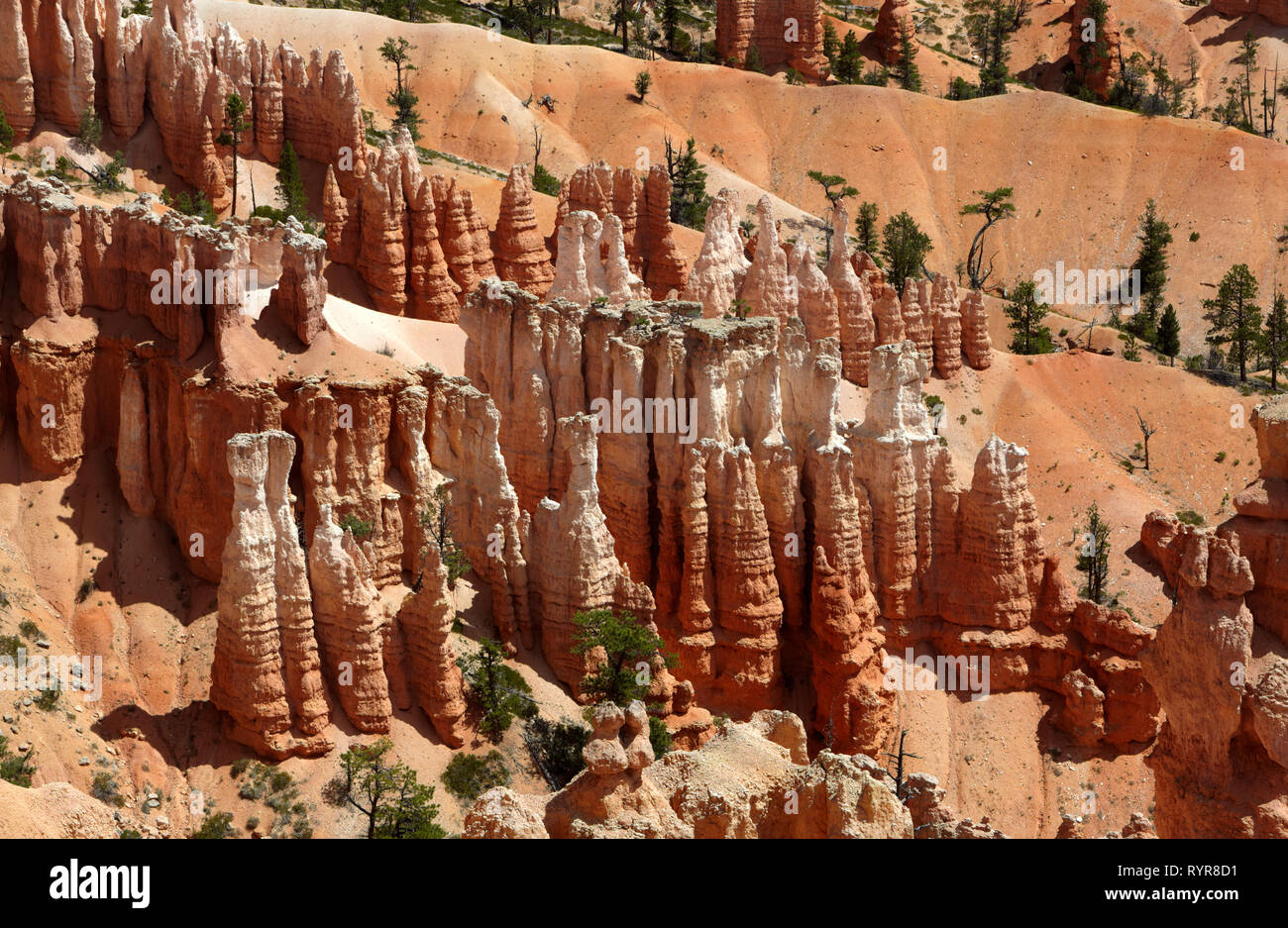 Bryce national park hi-res stock photography and images - Alamy