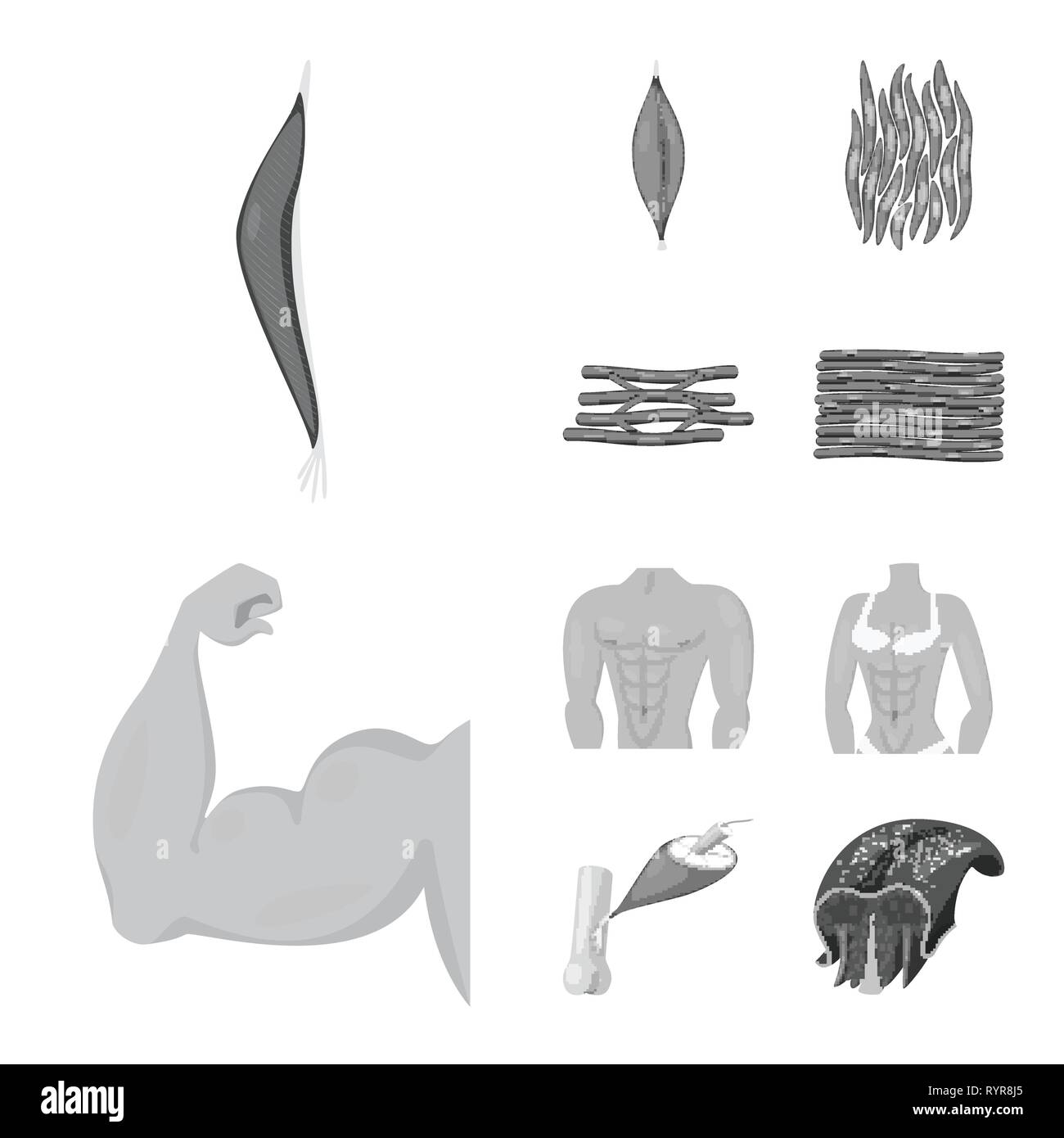 Isolated object of human and body logo. Set of human and cells stock ...