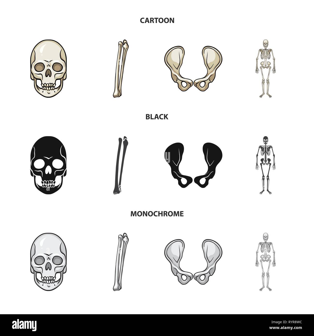 skull,femur,hip,musculoskeletal,death,joint,scientific,monster,leg ...