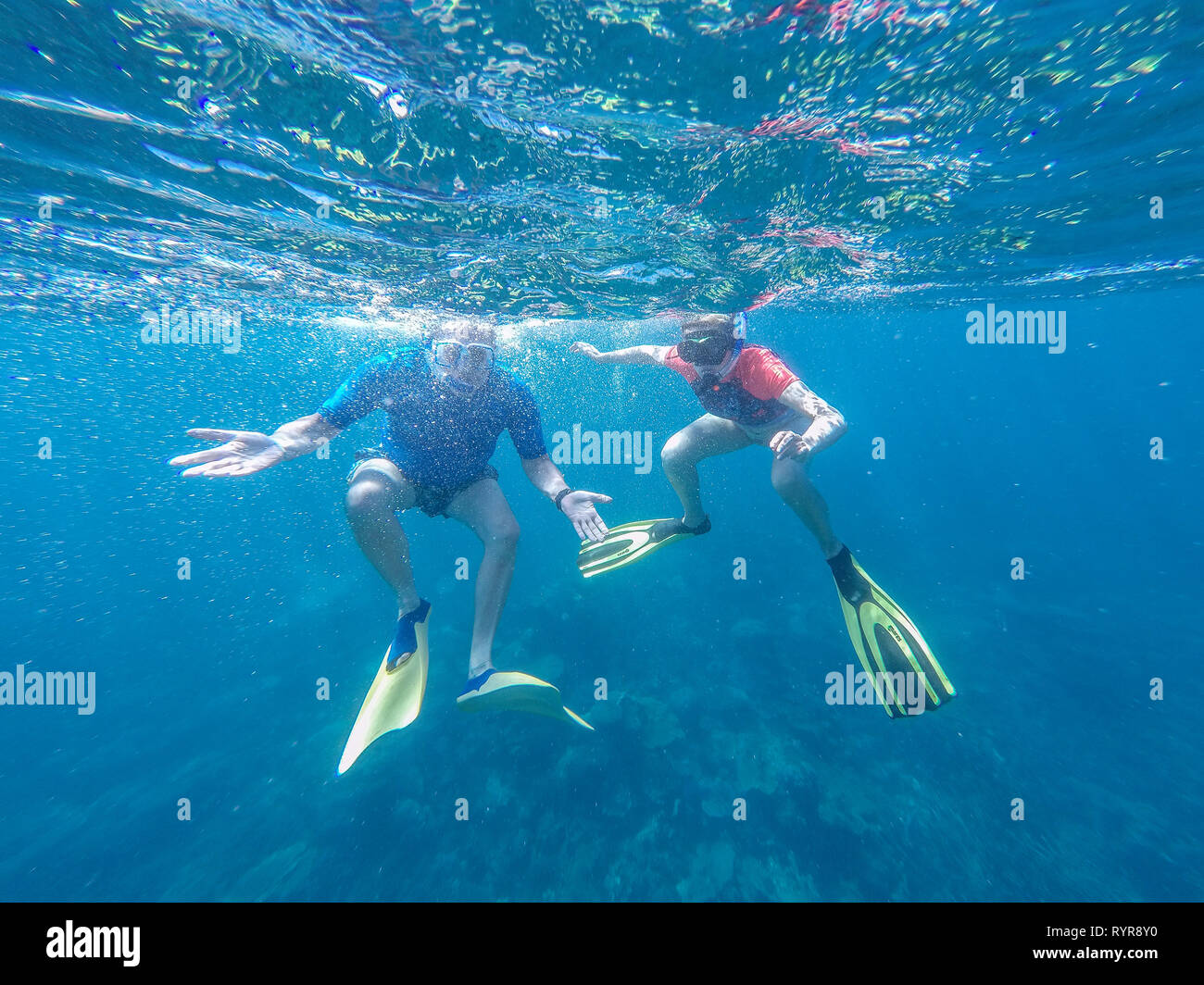Snorkelling in Western Australia Stock Photo - Alamy