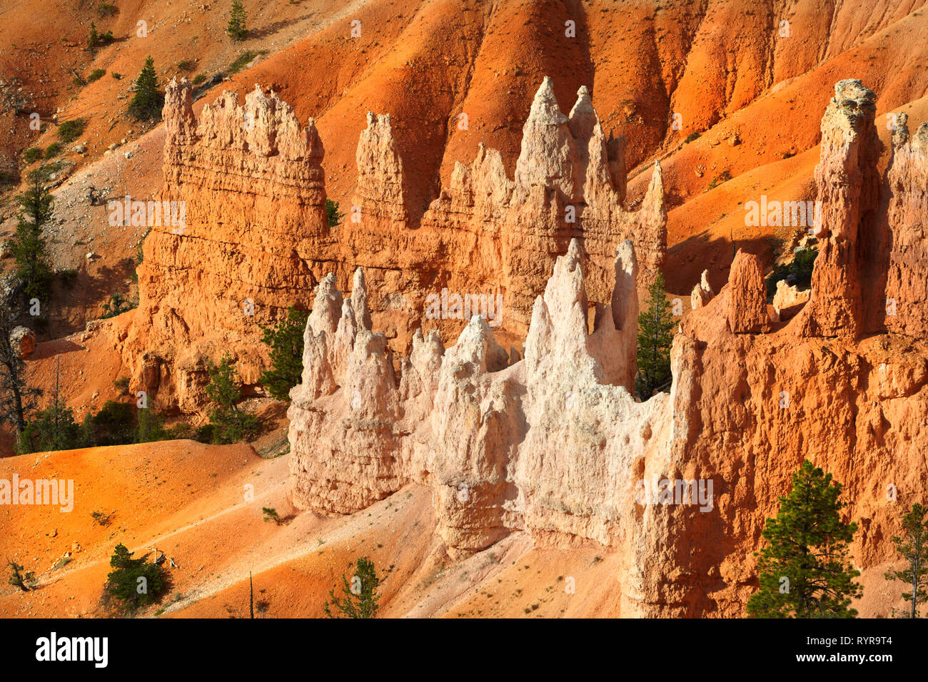 Bryce National Park, Utah, USA Stock Photo - Alamy