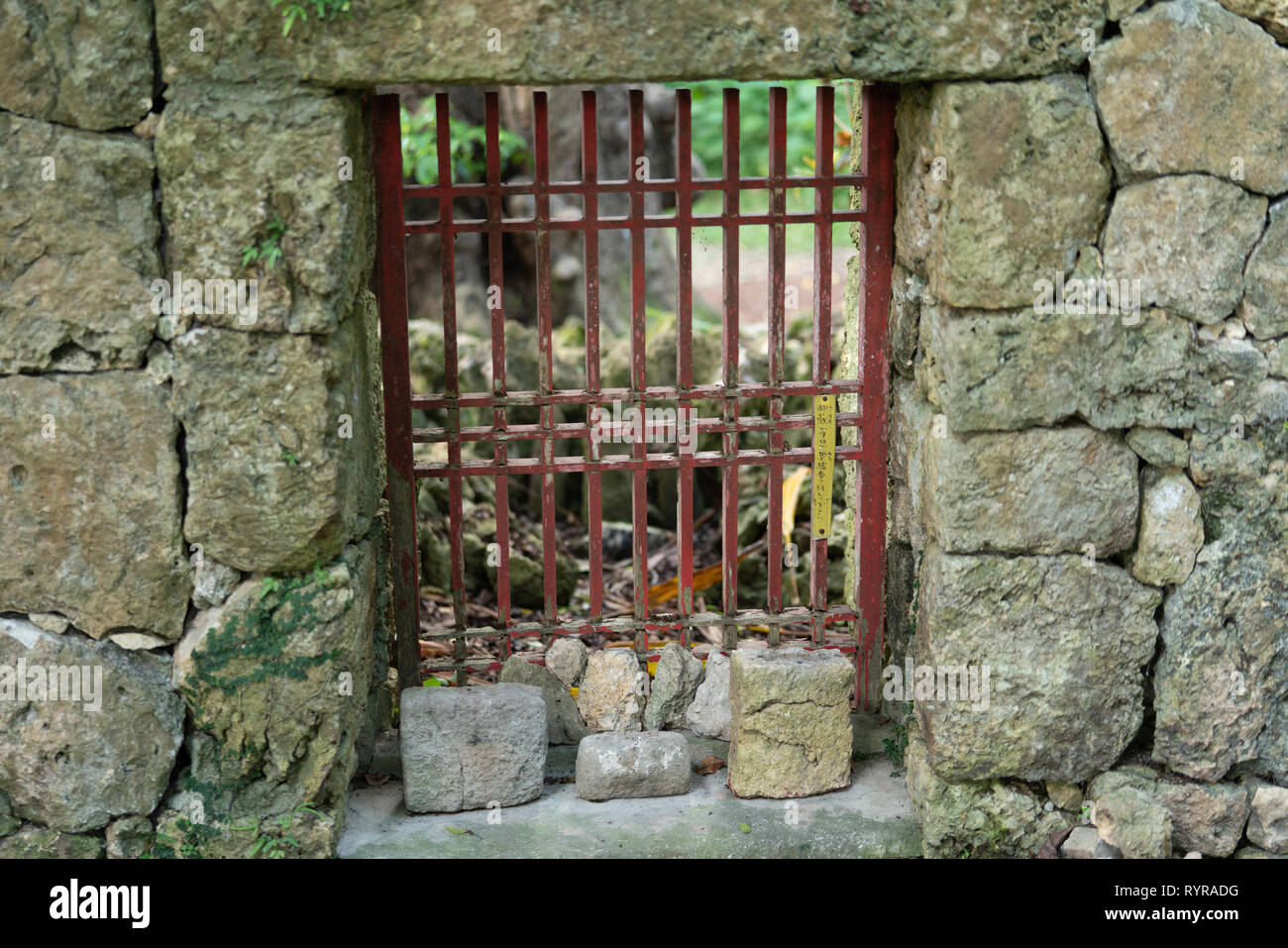 Great Akagi Tree of Shurikinjo, Okinawa Prefecture, Japan Stock Photo ...