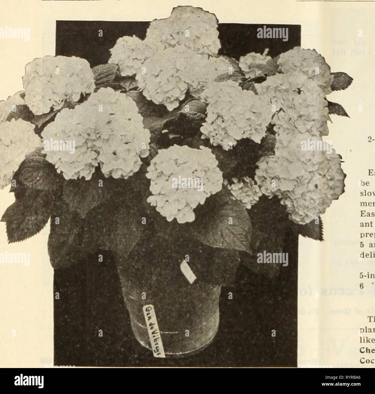 Henri david philadelphia hi-res stock photography and images - Alamy