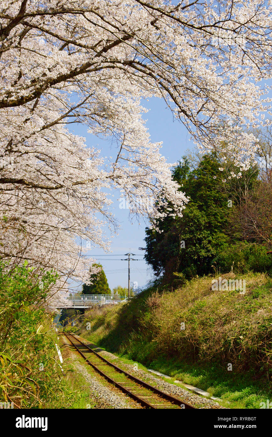 Hisatsu Line, railway line in Kyushu, Japan Stock Photo - Alamy