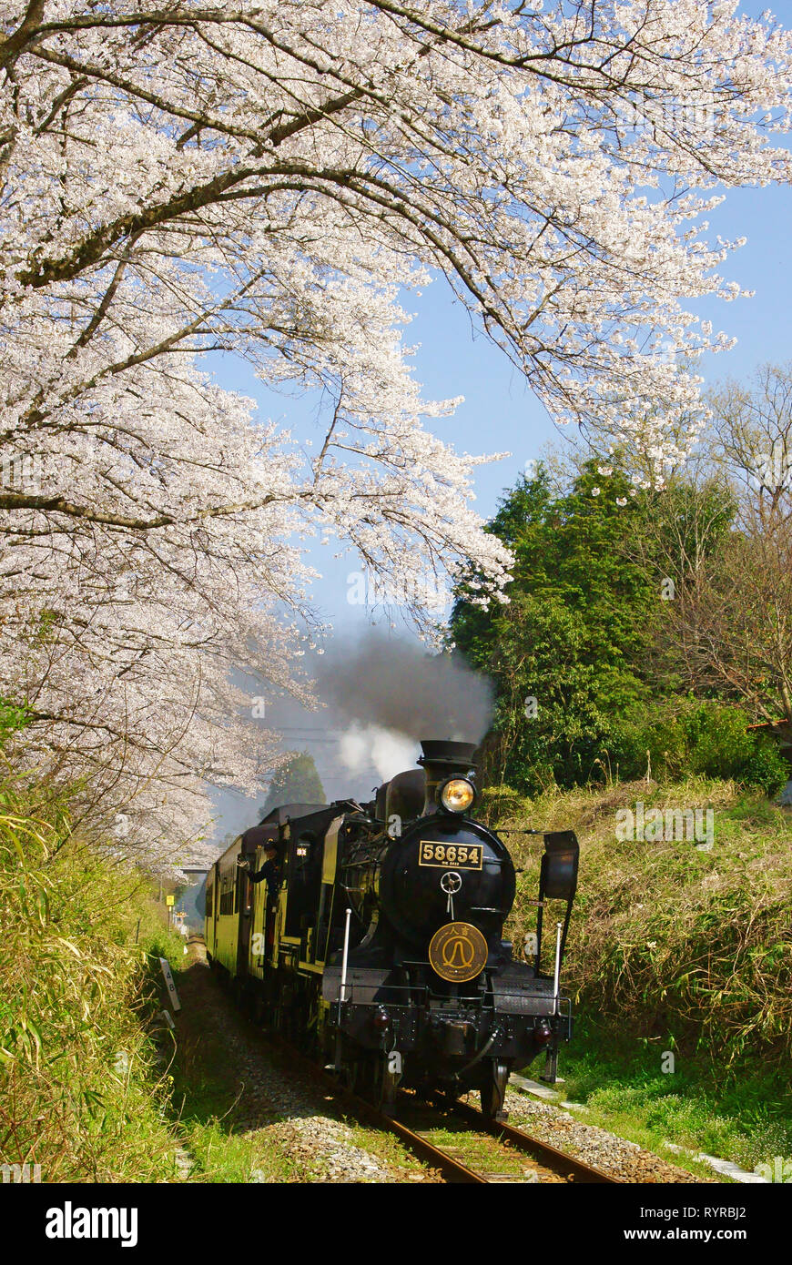 Hitoyoshi hi-res stock photography and images - Alamy