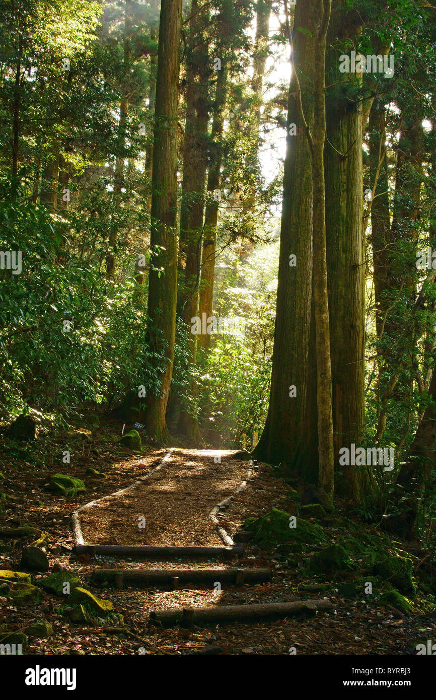 Kikuchi Gorge, Kumamoto Prefecture, Japan Stock Photo - Alamy