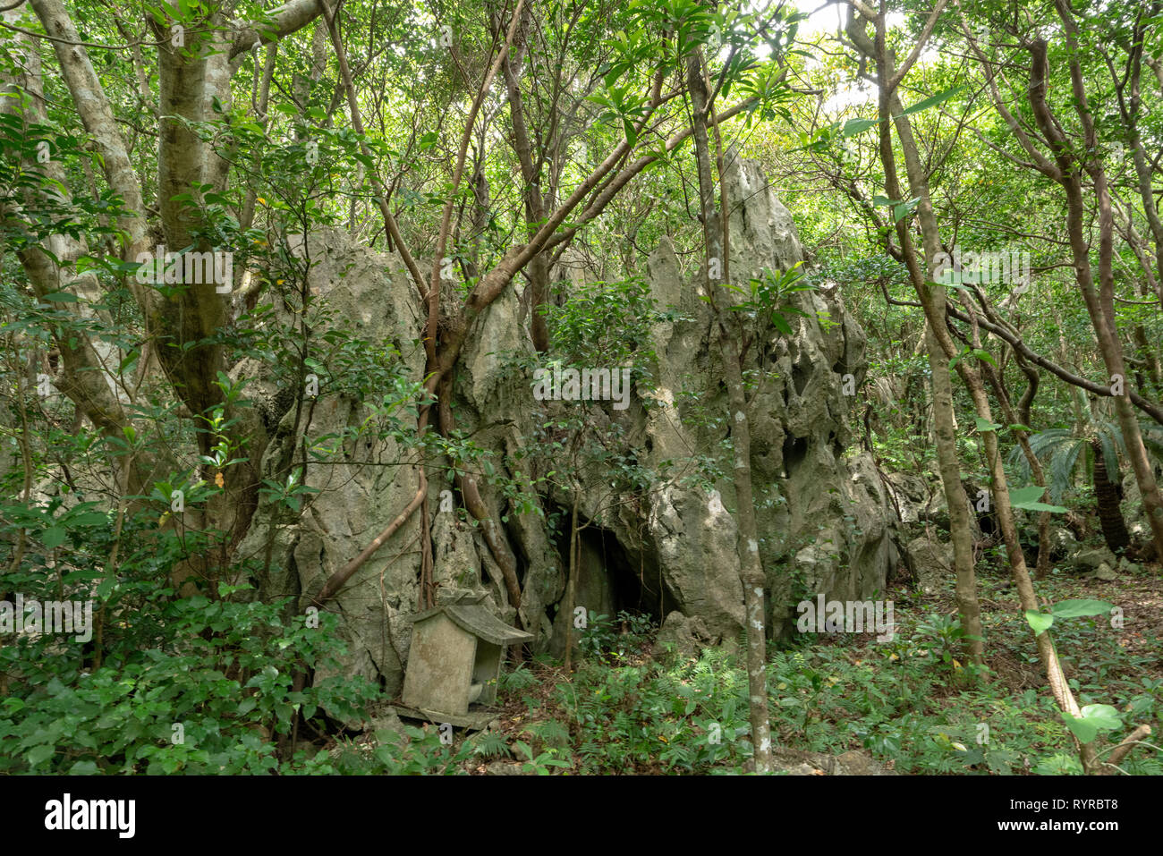 Rocks in jungle Stock Photo - Alamy