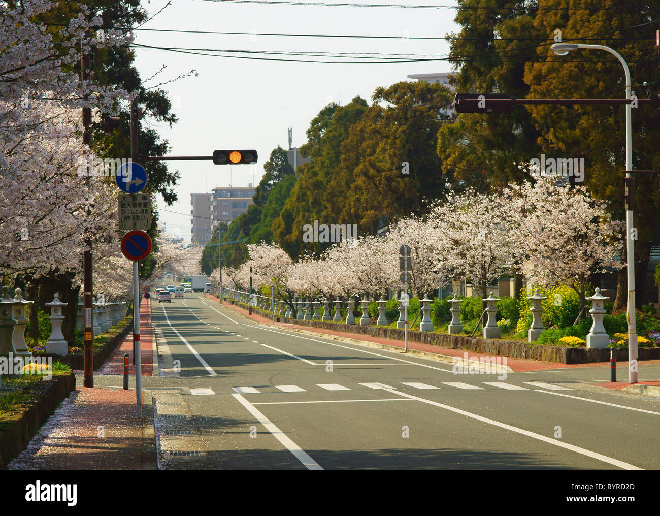 Sando (approach to a shrine) to Kengun Shrine, Kumamoto Prefecture ...