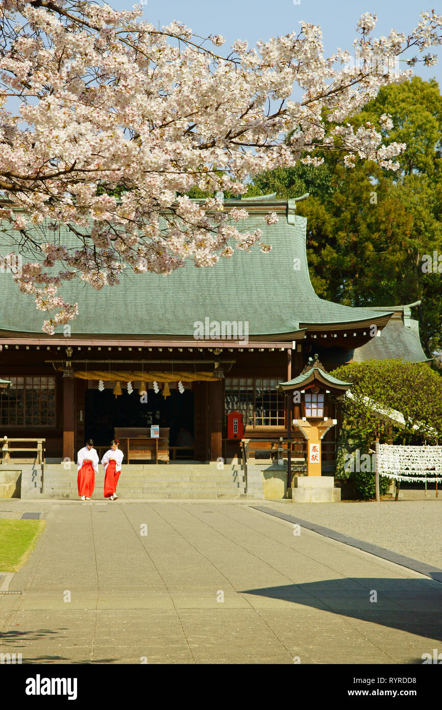 Japanese shrine maiden hi-res stock photography and images - Alamy