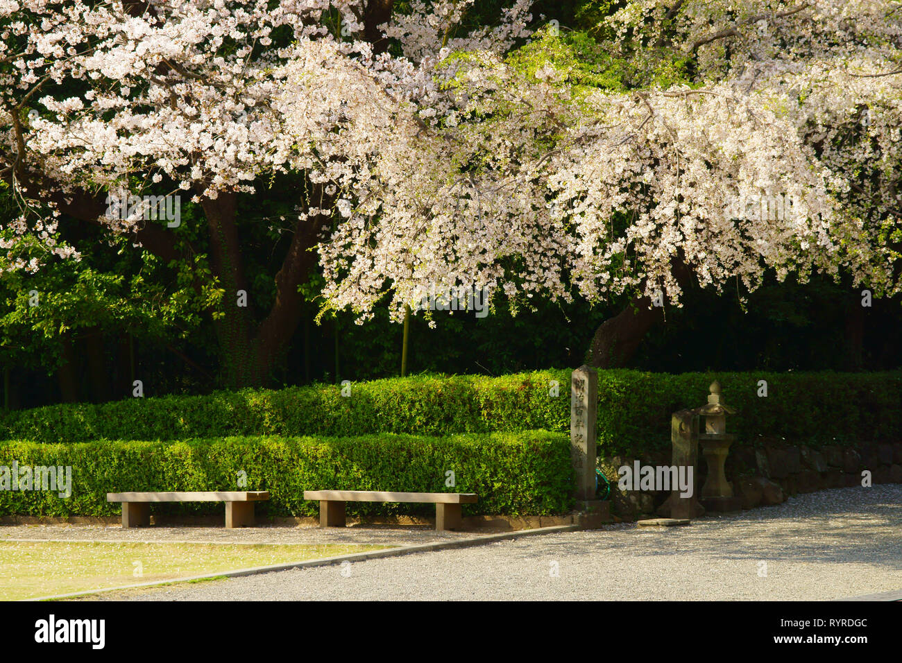 Kengun Shrine in spring, Kumamoto Prefecture, Japan Stock Photo - Alamy