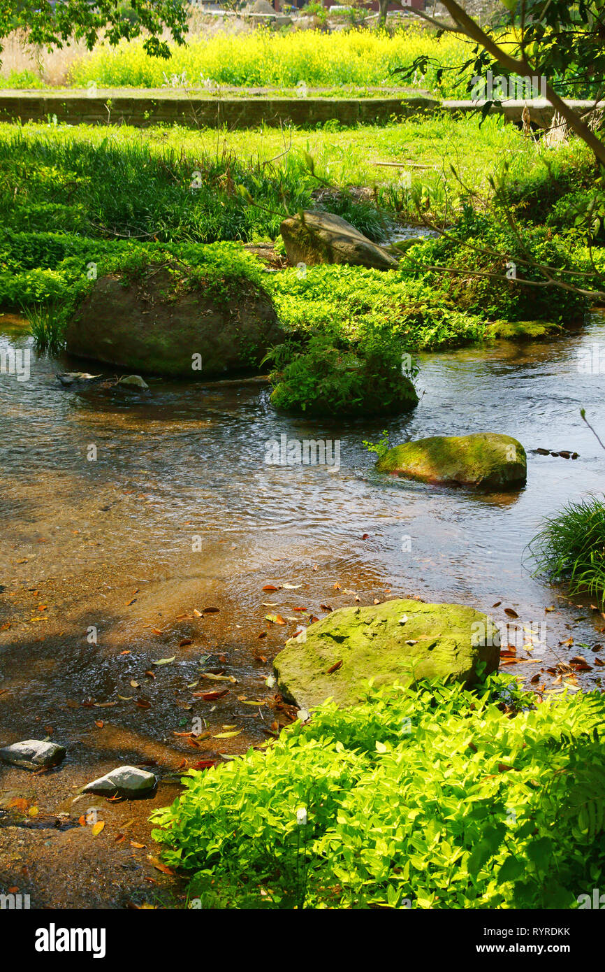 Lake Ezu in spring Stock Photo - Alamy