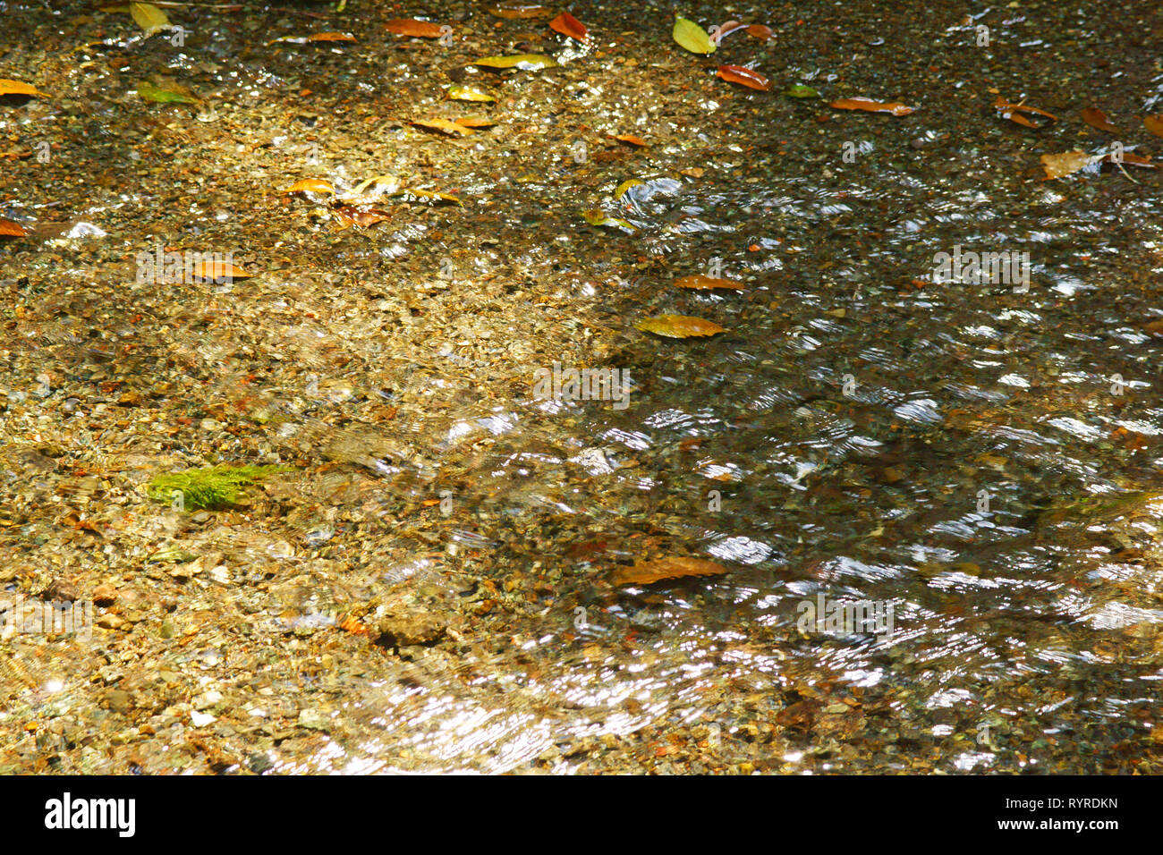 Lake Ezu in spring Stock Photo - Alamy
