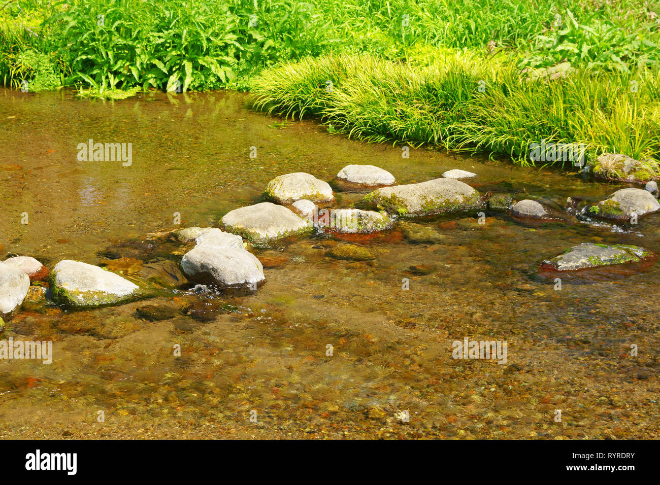 Lake Ezu in spring Stock Photo - Alamy