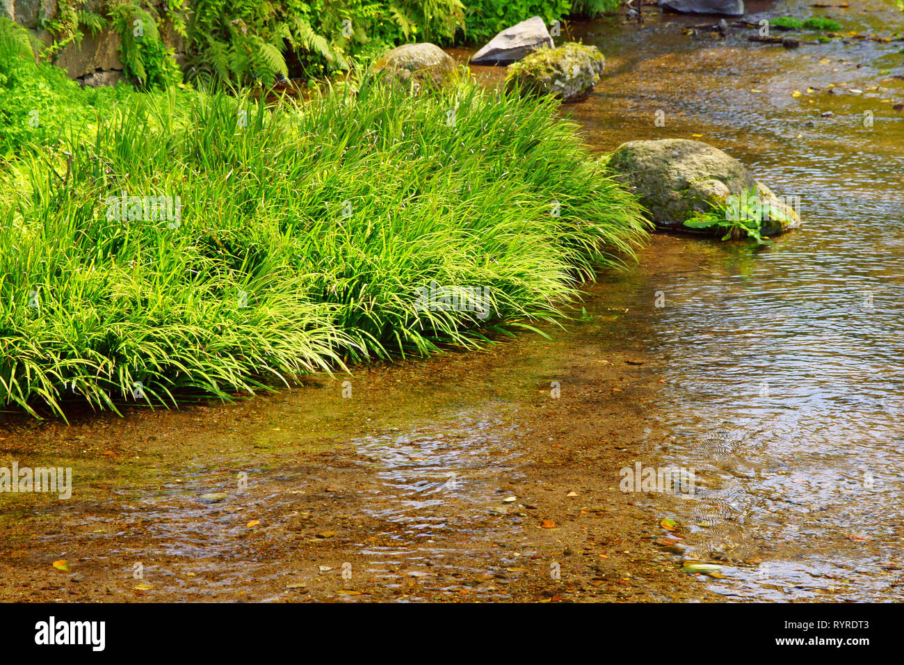 Lake Ezu in spring Stock Photo - Alamy
