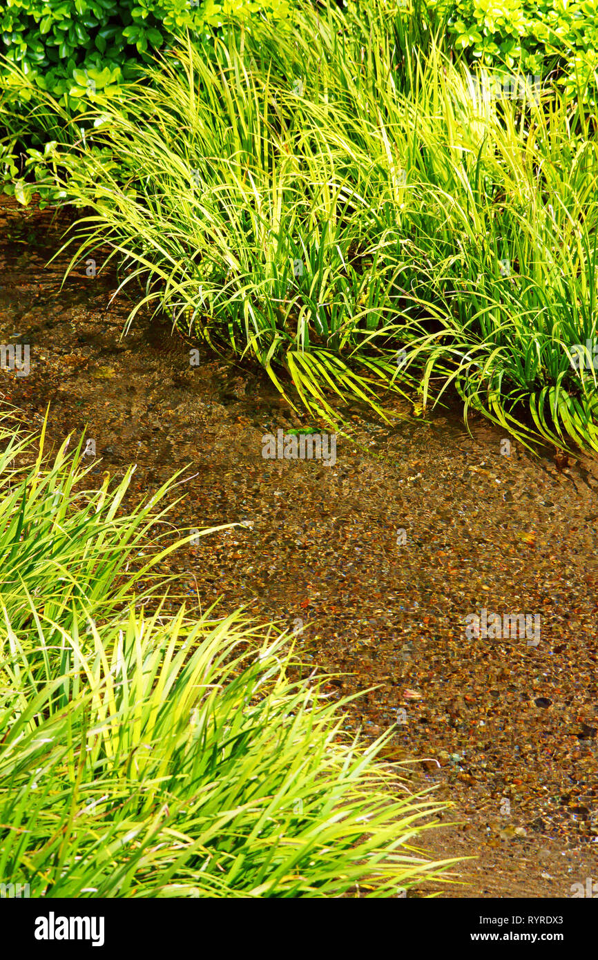 Lake Ezu in spring Stock Photo - Alamy