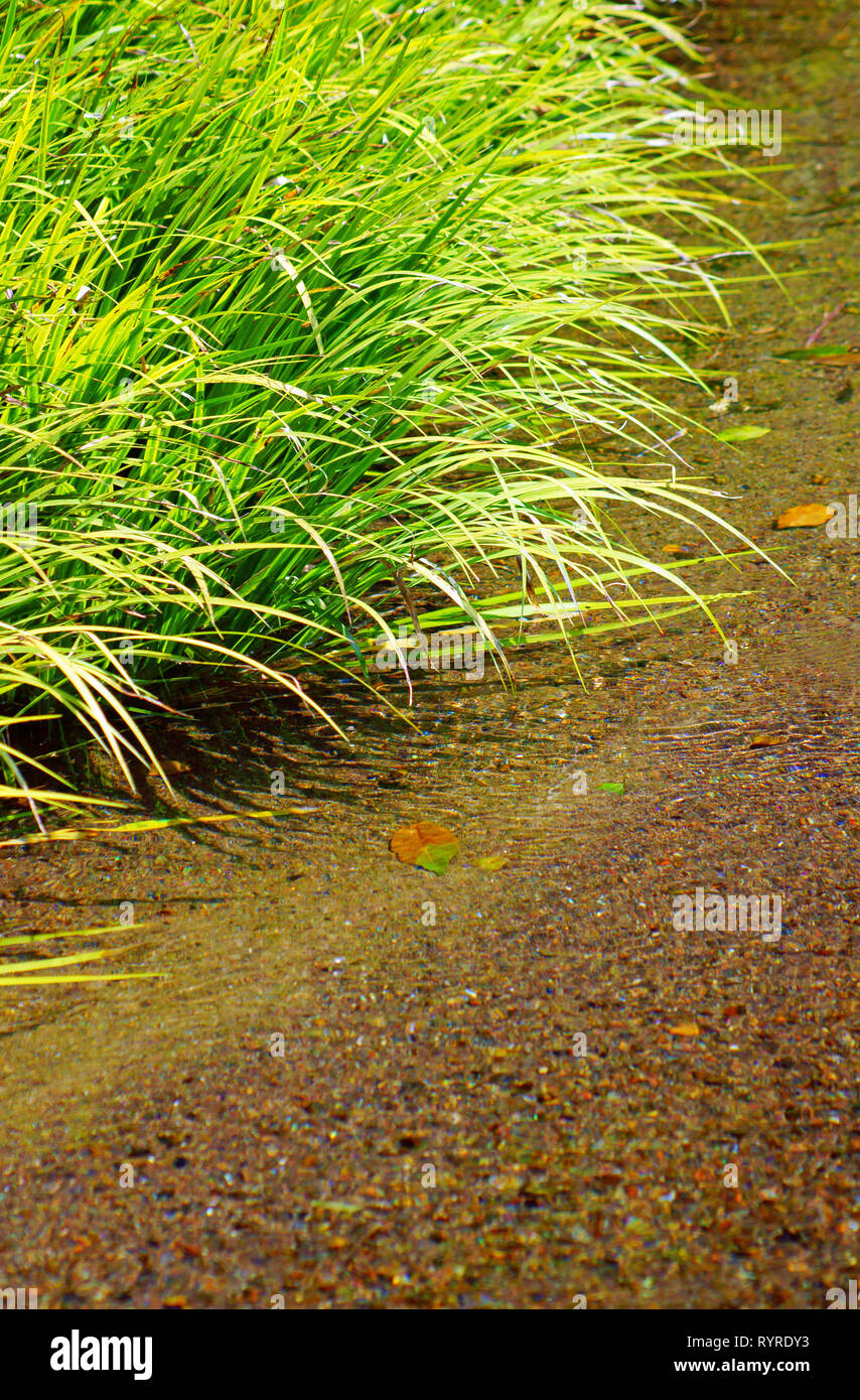 Lake Ezu in spring Stock Photo - Alamy