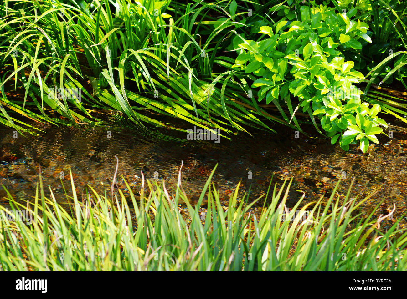 Lake Ezu in spring Stock Photo - Alamy