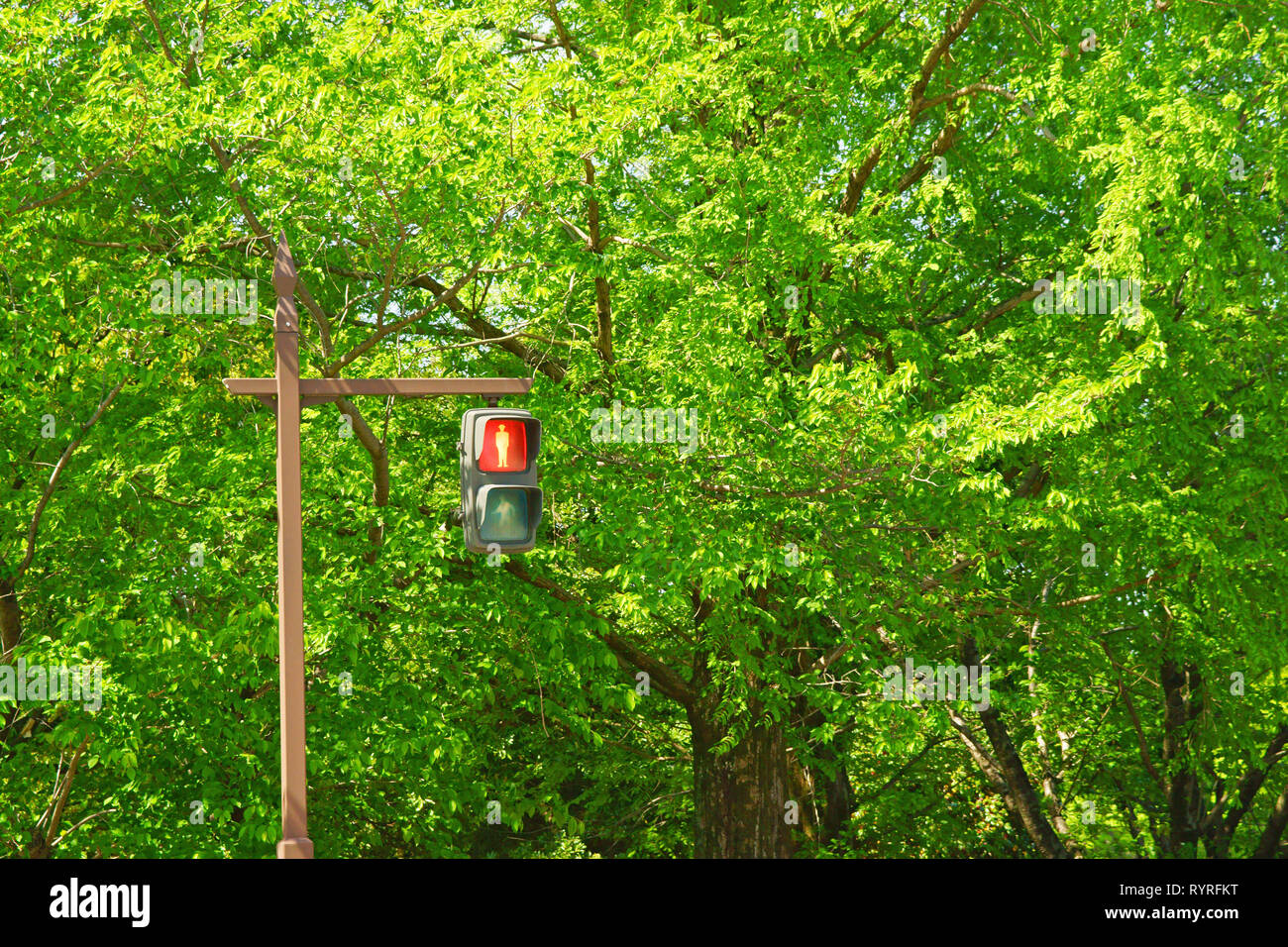 Traffic light in town Stock Photo - Alamy