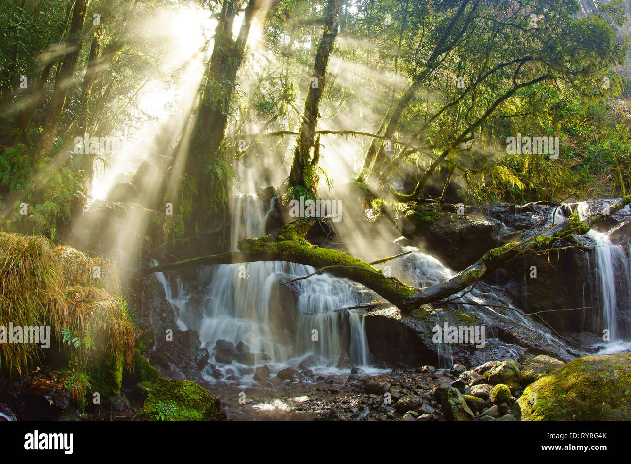 Kikuchi valley hi-res stock photography and images - Alamy