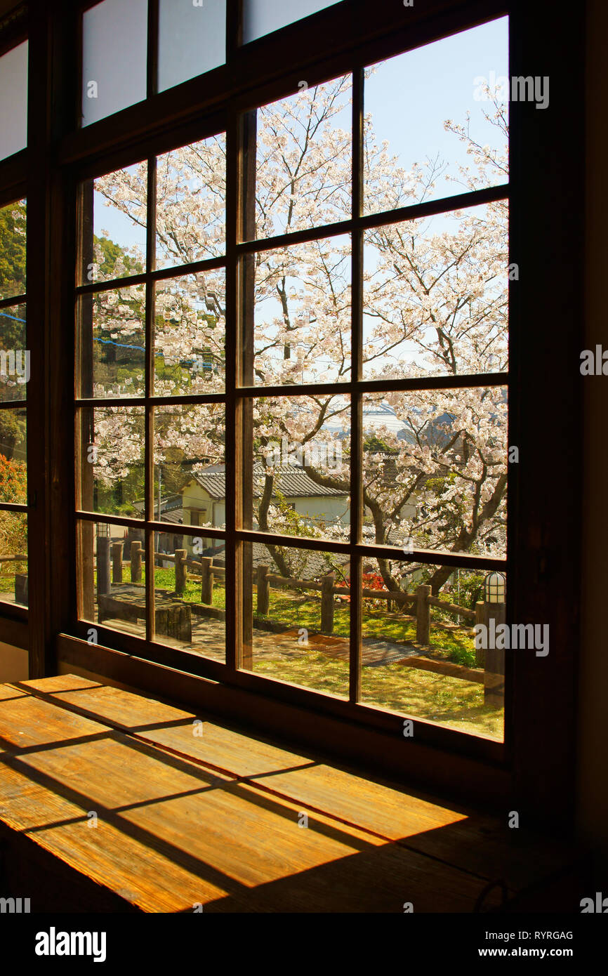 Blossoms at the window hi-res stock photography and images - Alamy
