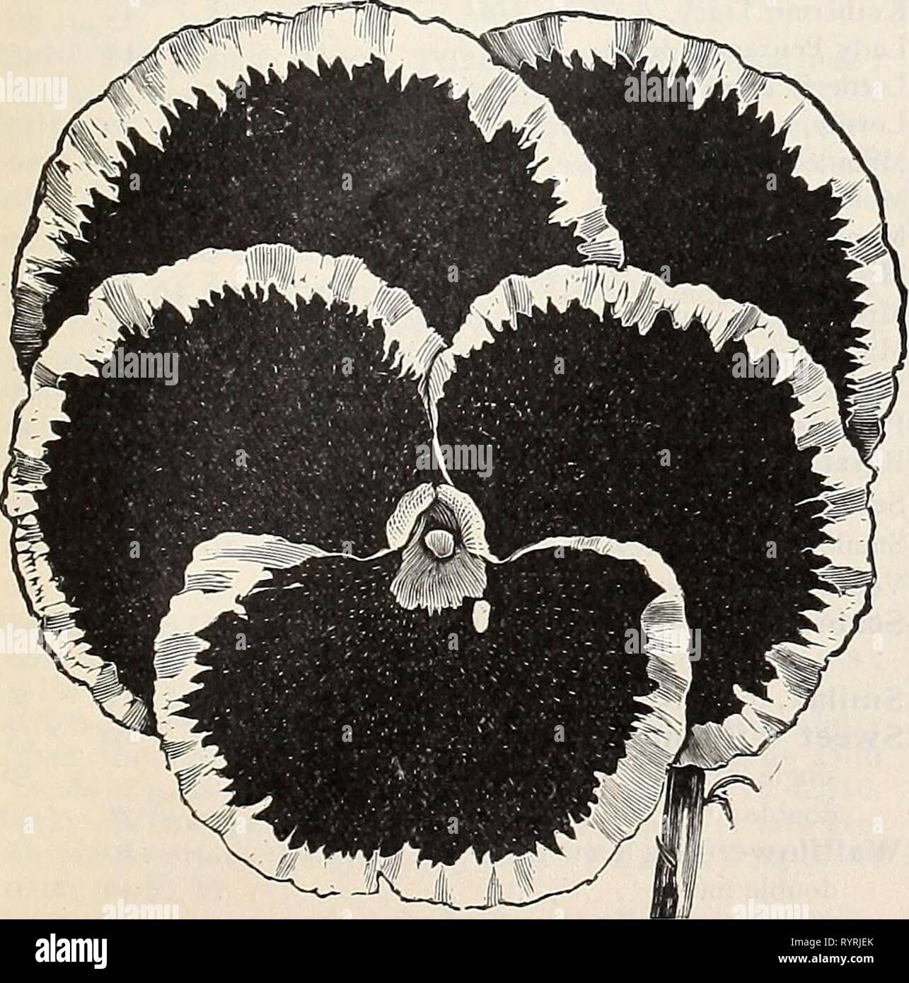 Victoria io hi-res stock photography and images - Alamy