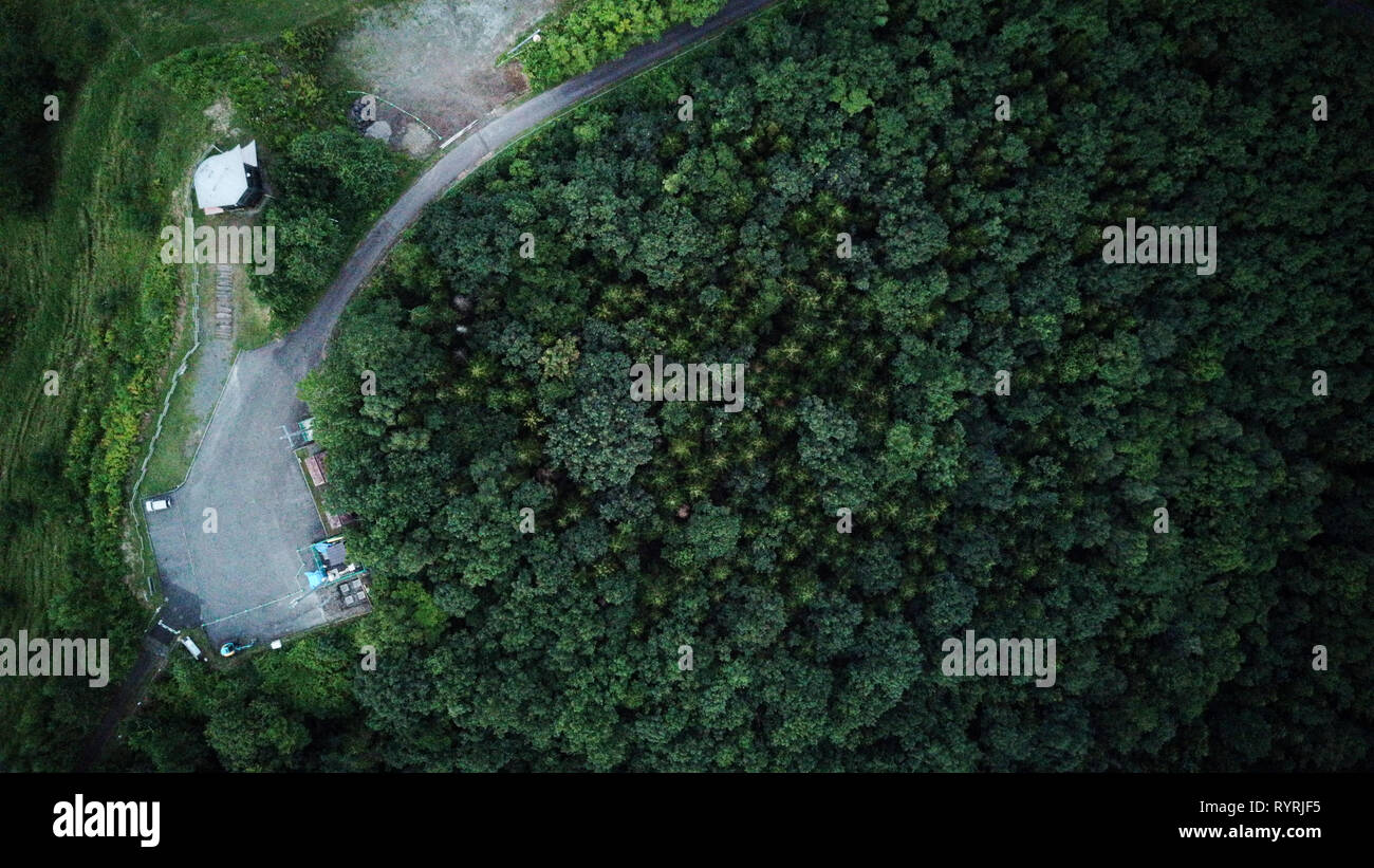 Aerial view of forest Stock Photo - Alamy
