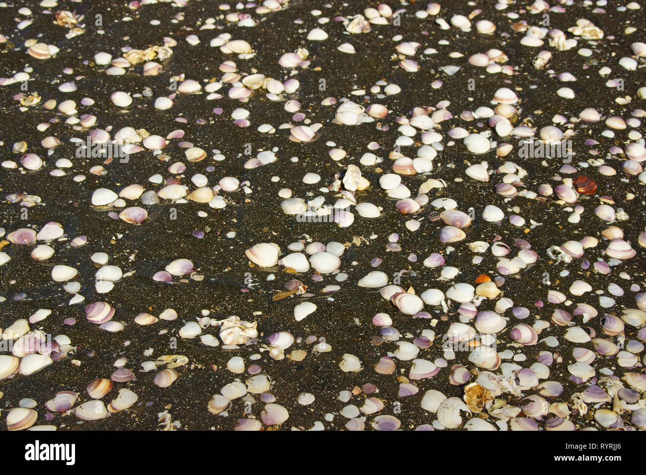 Fukushima prefecture japan solid hi-res stock photography and images ...