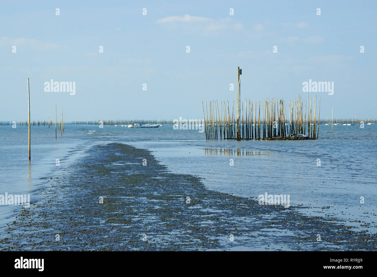 Mudflat of Ariake Sea, Kumamoto Prefecture, Japan Stock Photo - Alamy
