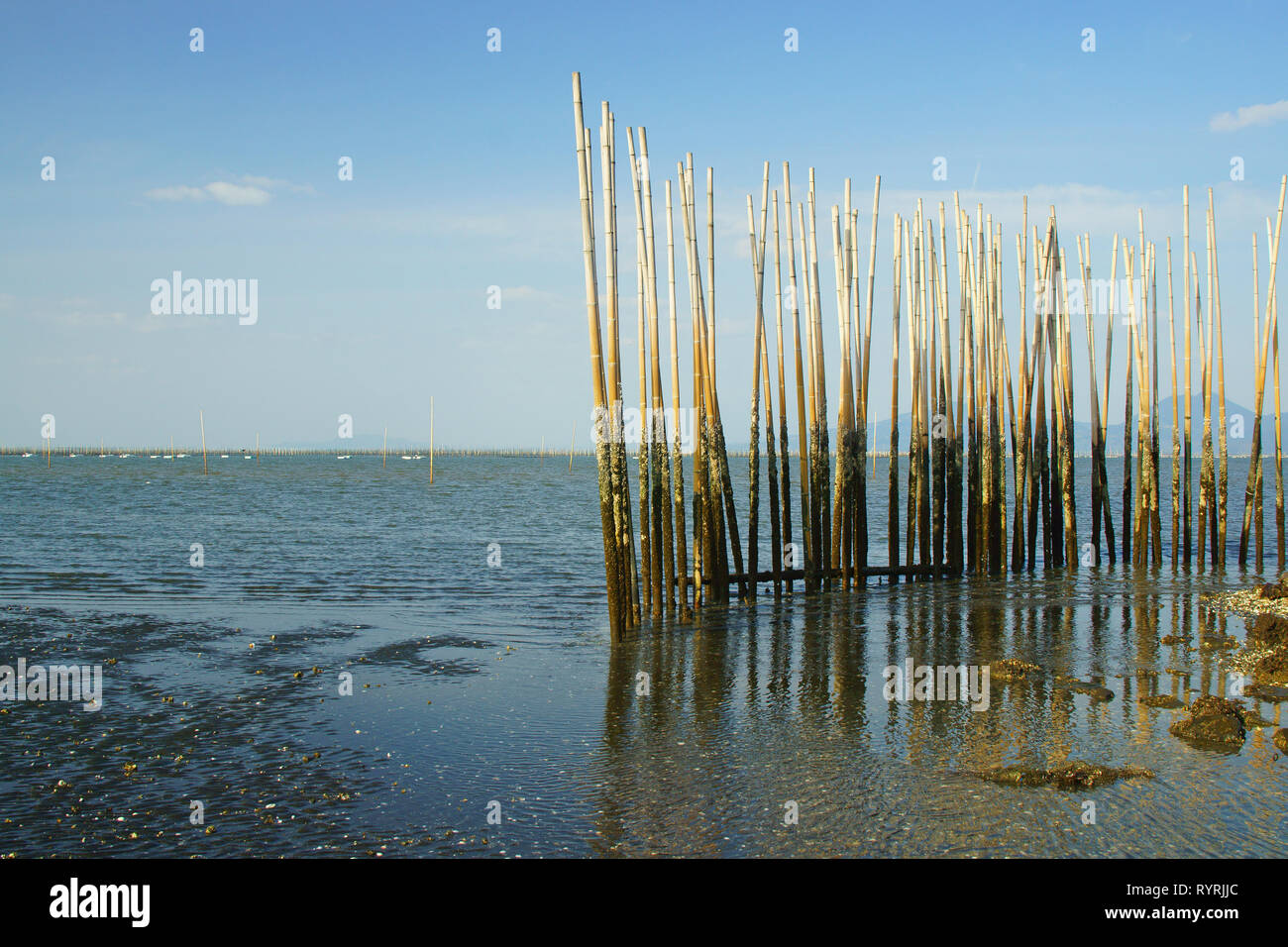 Mudflat of Ariake Sea, Kumamoto Prefecture, Japan Stock Photo - Alamy