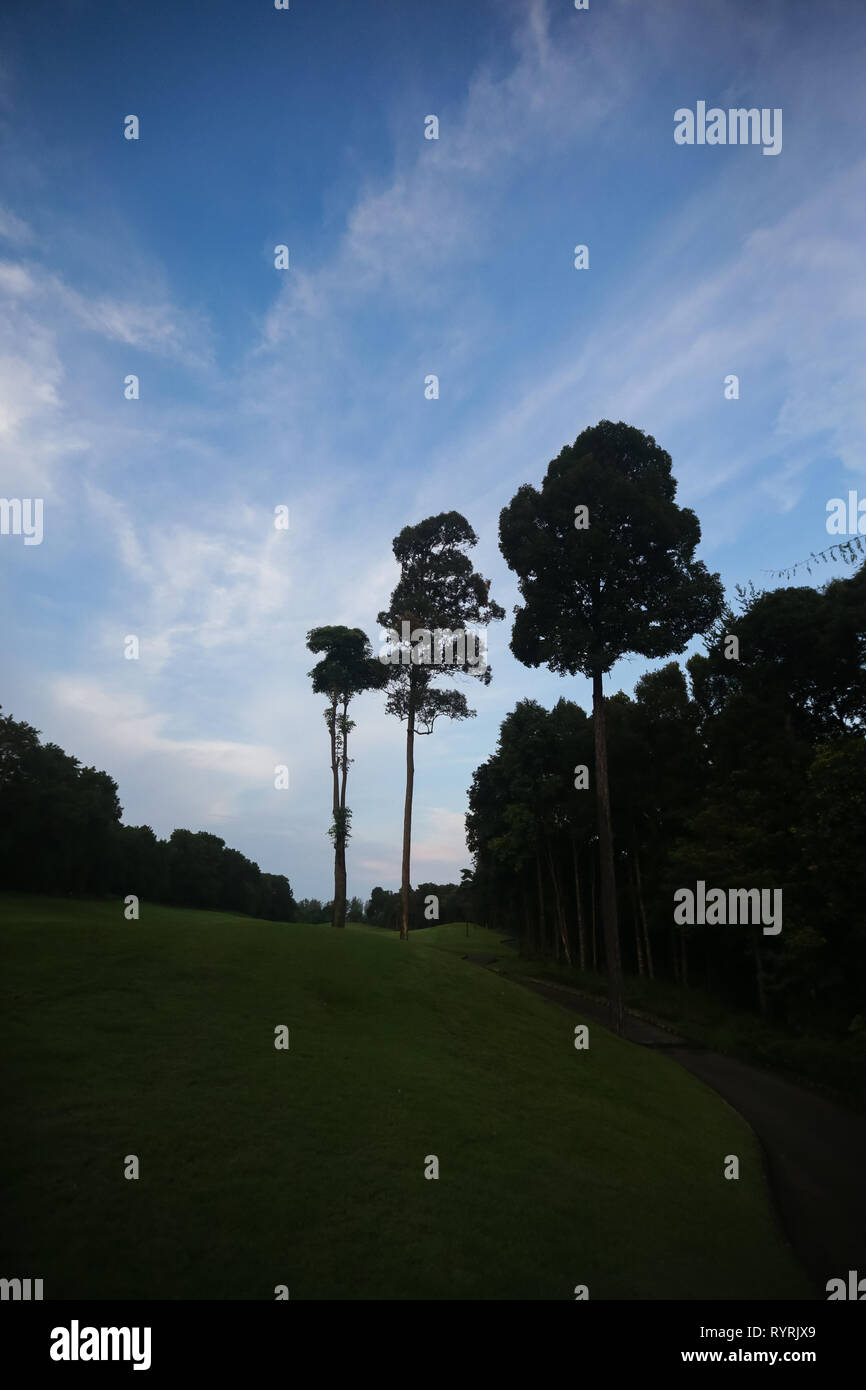 Golf side beach hi-res stock photography and images - Alamy