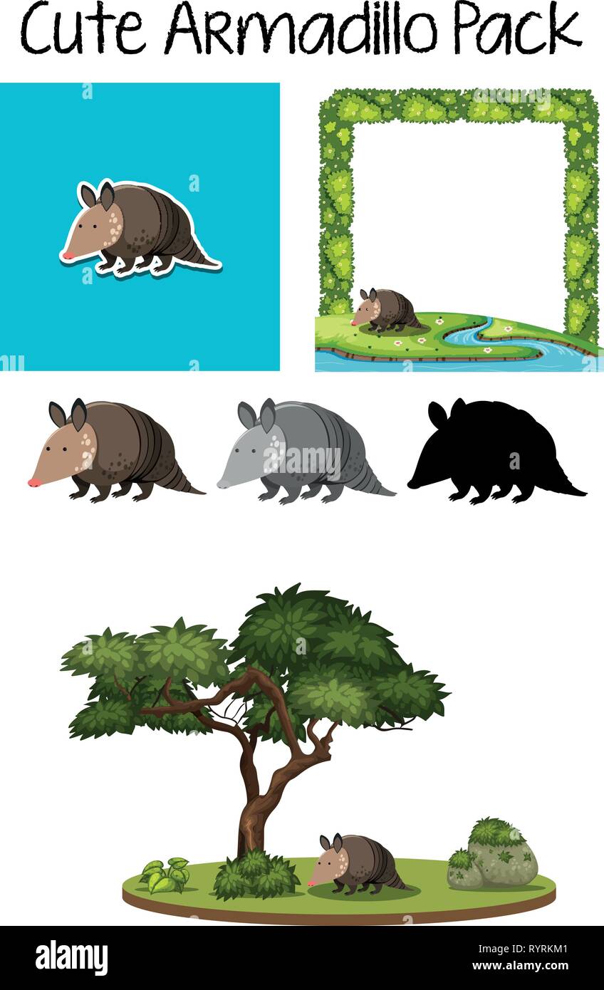 A pack of armadillo character illustration Stock Vector Image & Art - Alamy