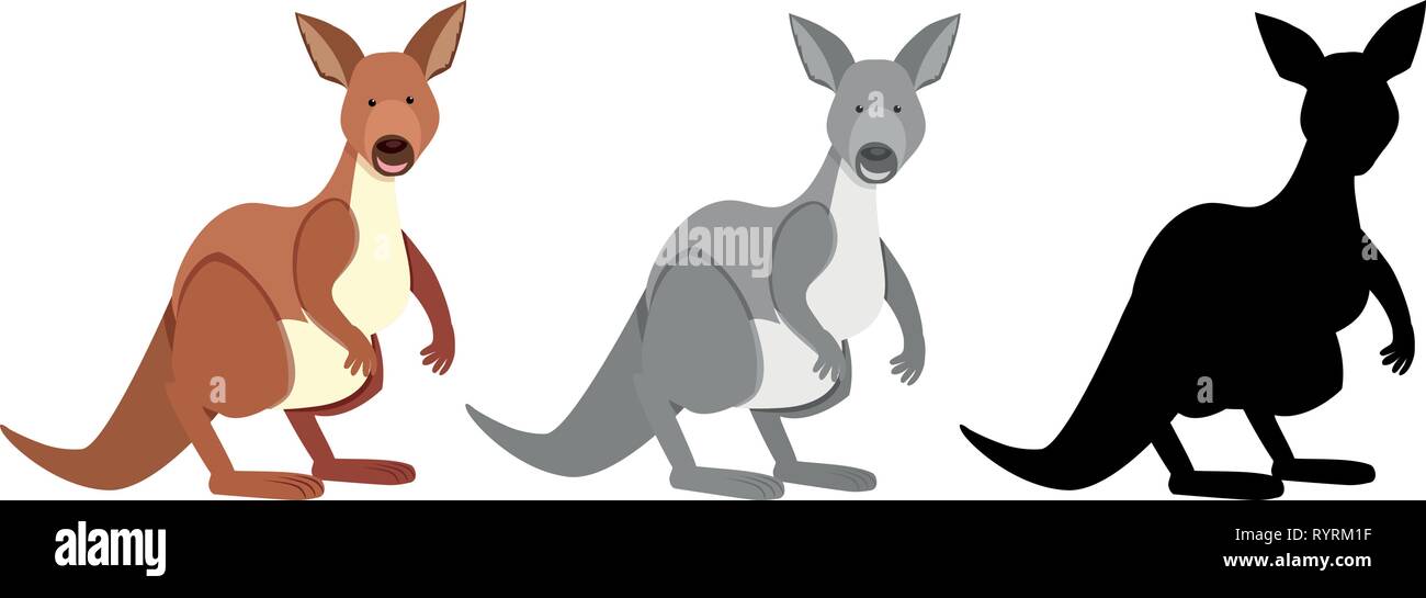 Set of kangaroo character illustration Stock Vector Image & Art - Alamy