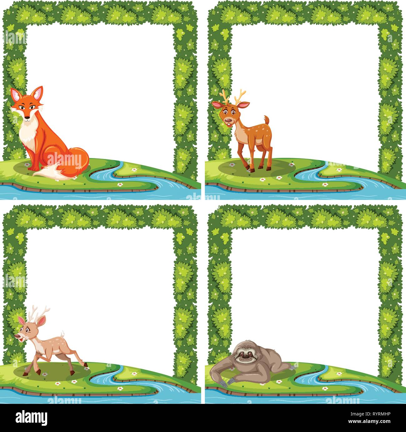 Wild animal frame hi-res stock photography and images - Alamy