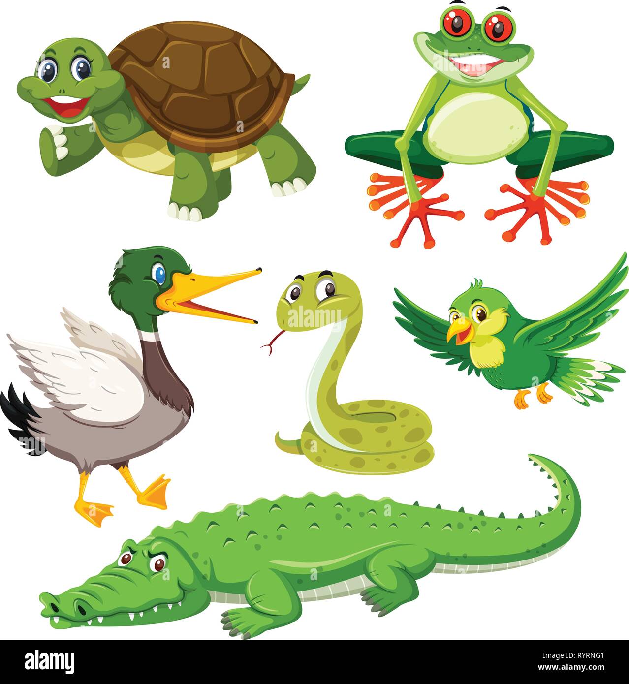 Set of green animal illustration Stock Vector Image & Art - Alamy