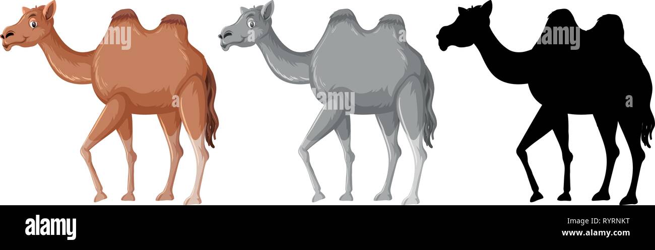 Set of camel character illustration Stock Vector Image & Art - Alamy