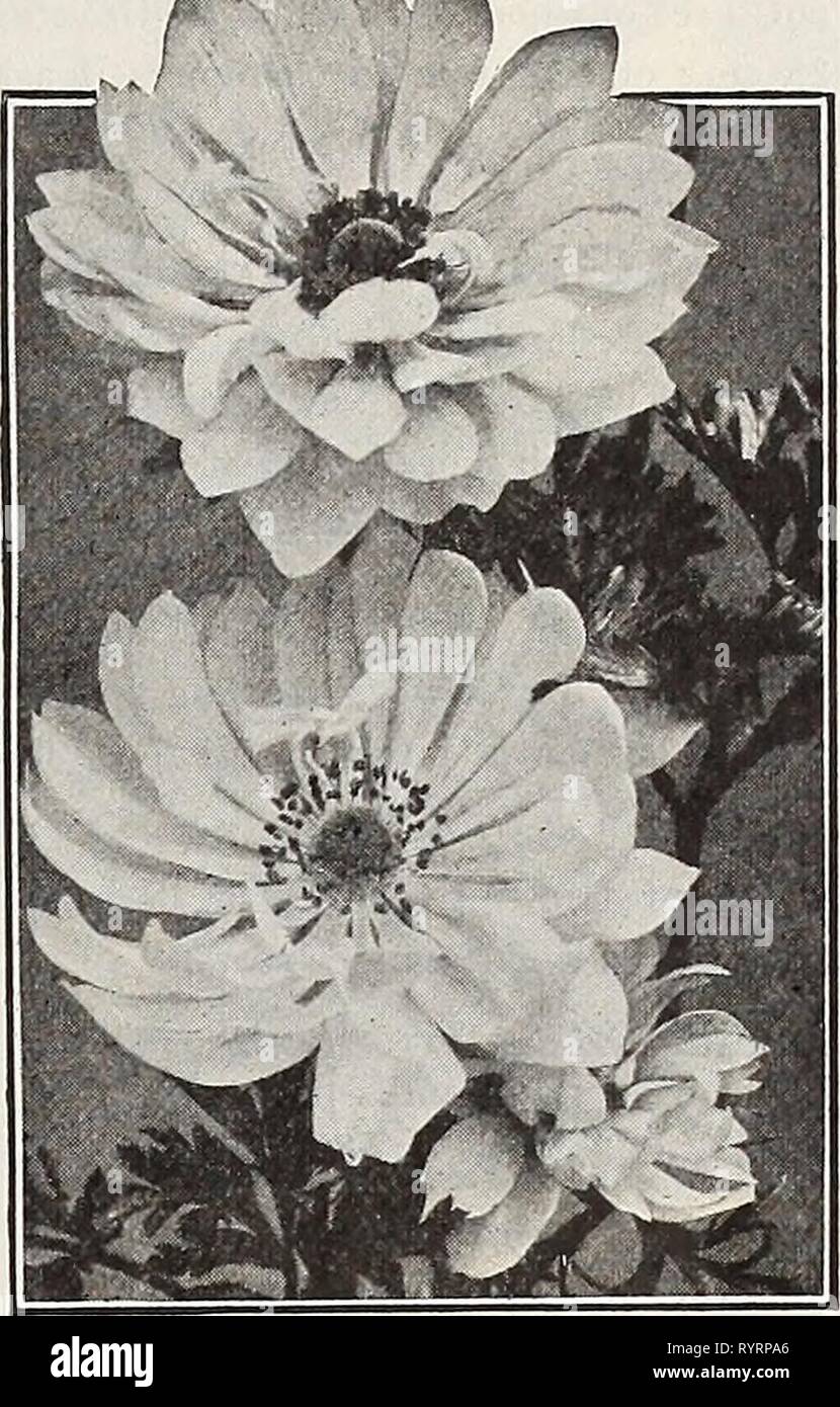 Dormant window hi-res stock photography and images - Alamy