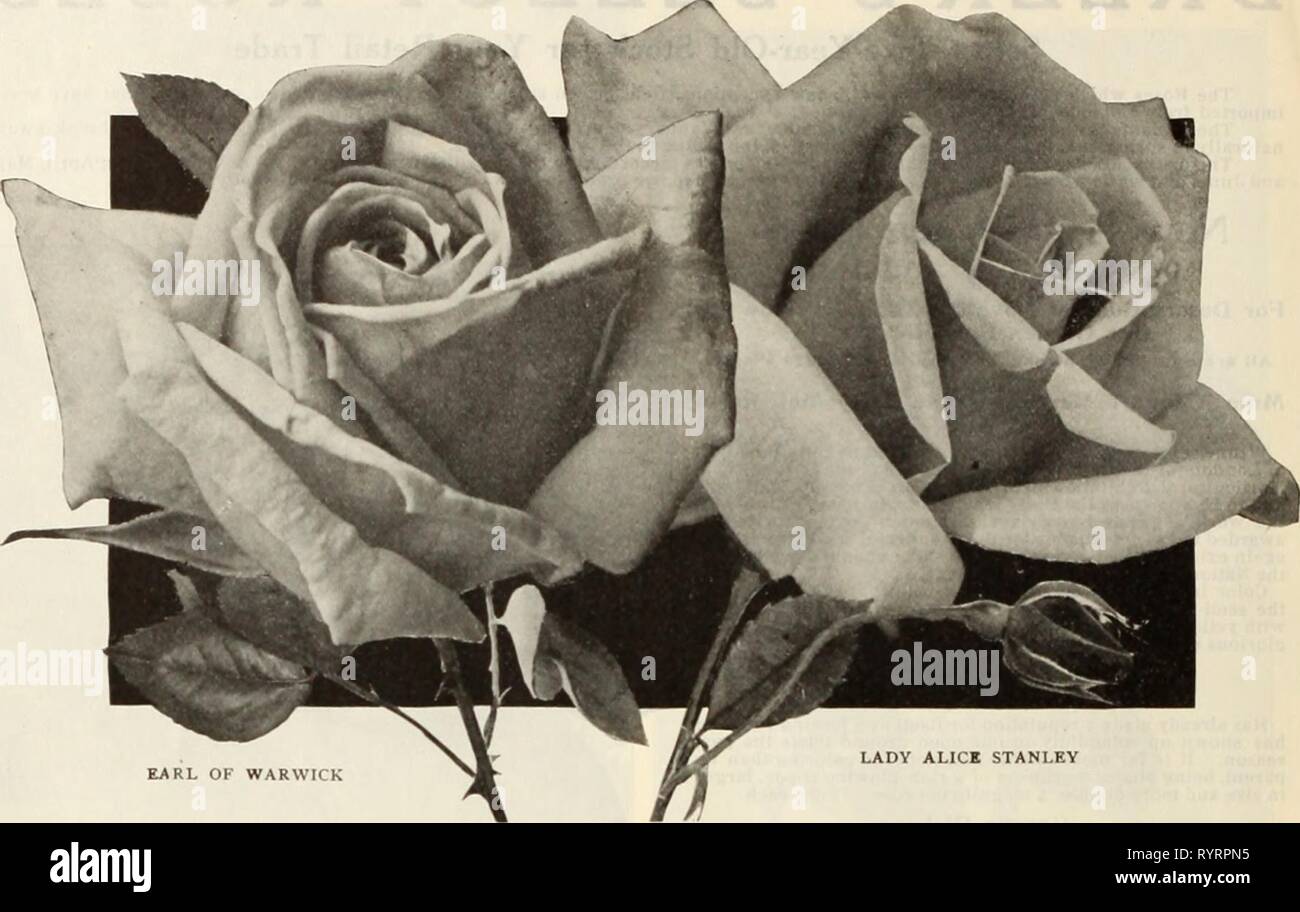 Arthur maw hi-res stock photography and images - Alamy