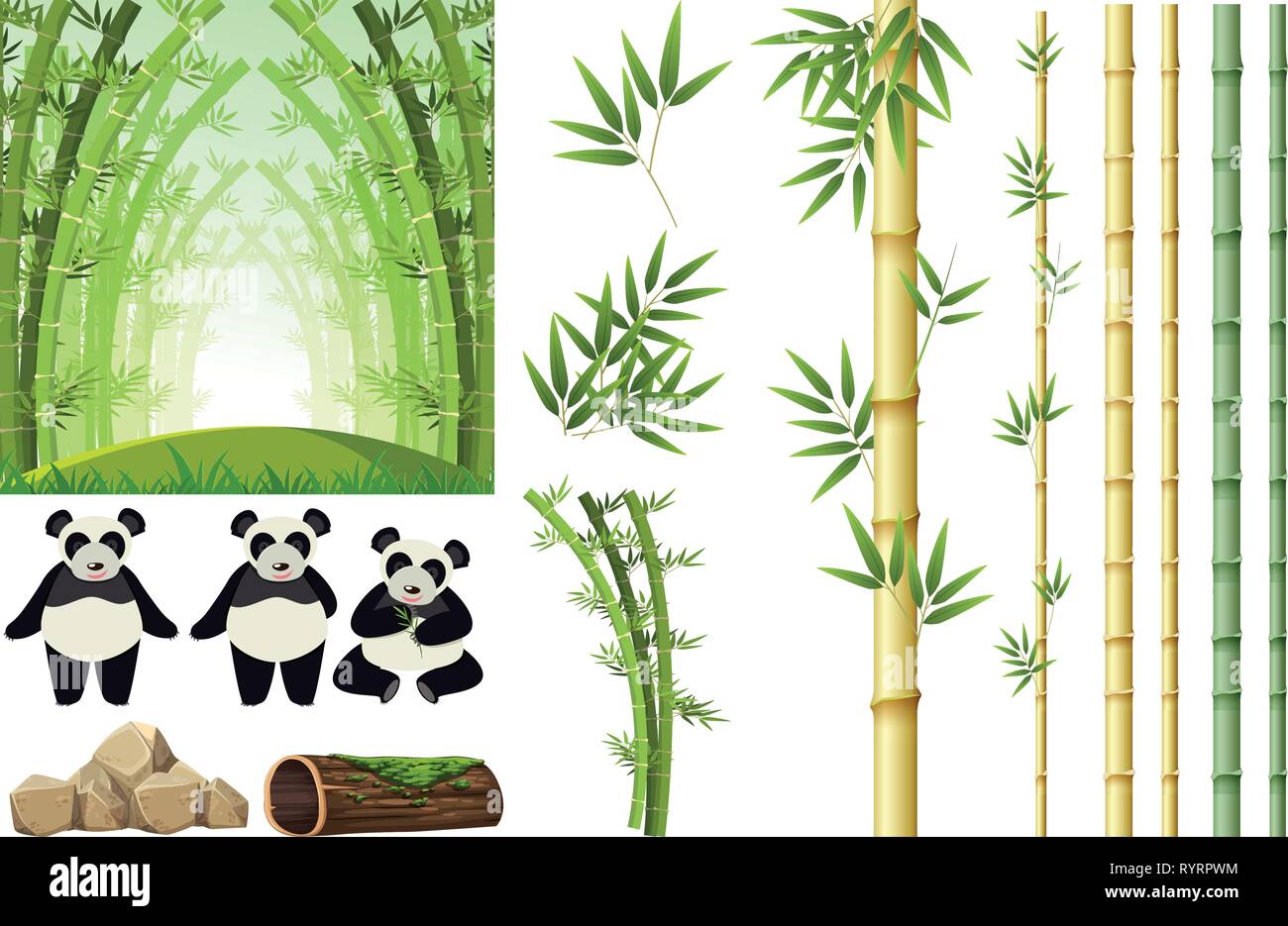 Bamboo forest china panda Stock Vector Images - Alamy