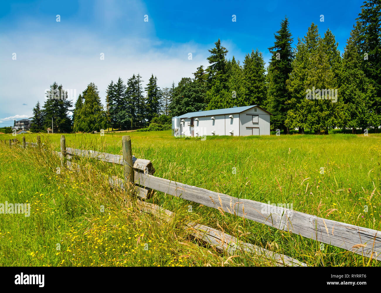 Livestock farm building on sunny day in British Columbia Stock Photo ...