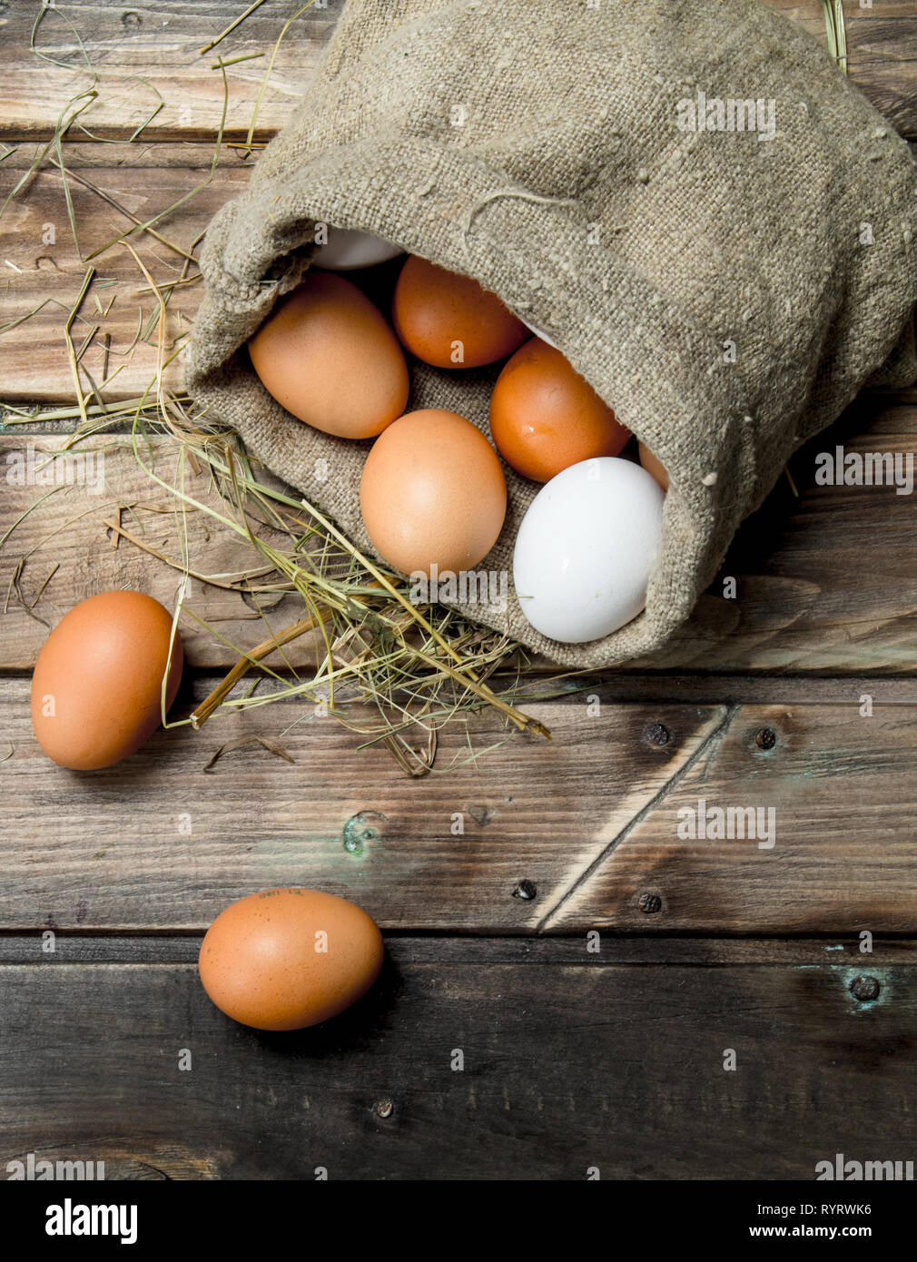Yolk bag hi-res stock photography and images - Alamy