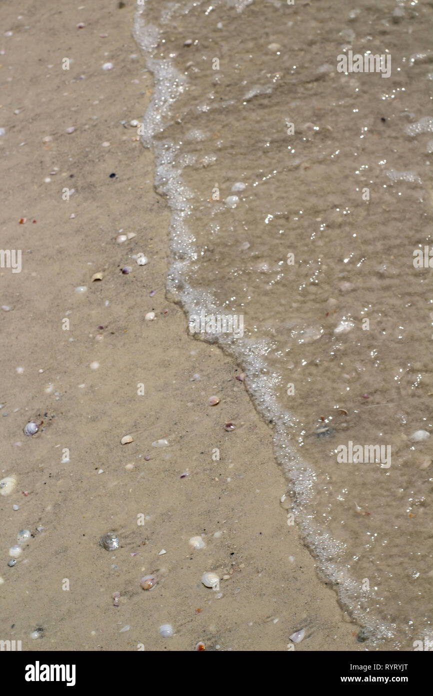 The day after Hurricane Irma hit Clearwater Beach Stock Photo - Alamy