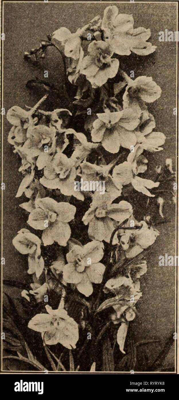 Amos perry hi-res stock photography and images - Alamy