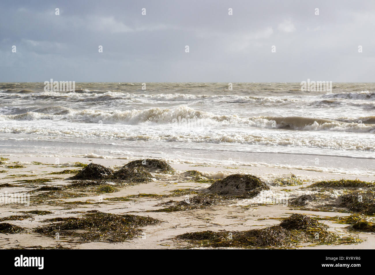 The day after Hurricane Irma hit Clearwater Beach Stock Photo - Alamy
