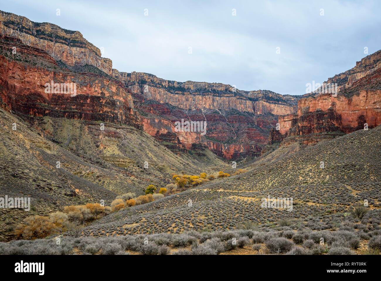 View from the Plateau Point Trail in the canyon of the Grand Canyon to ...
