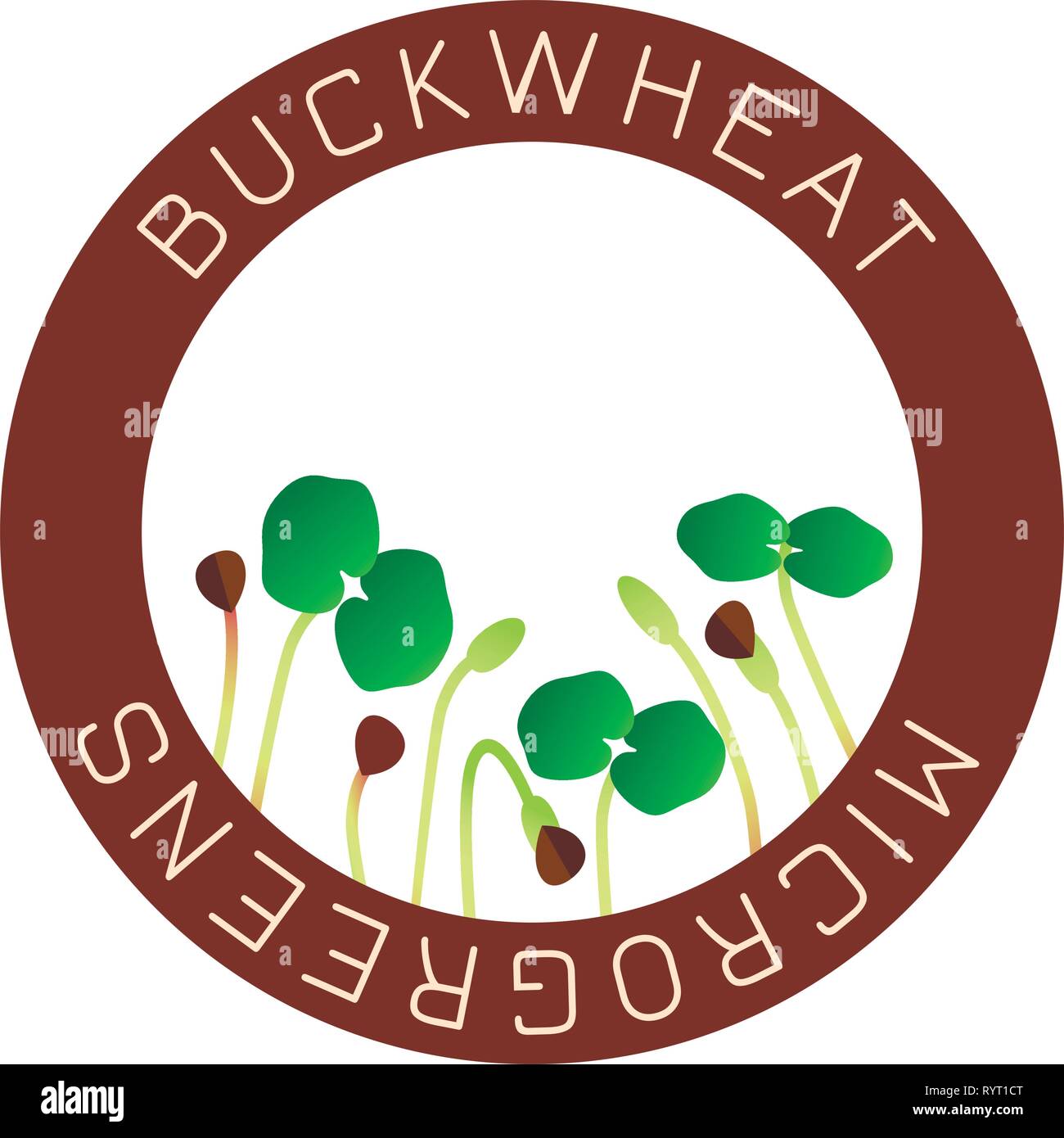 Buckwheat seedling hi-res stock photography and images - Alamy