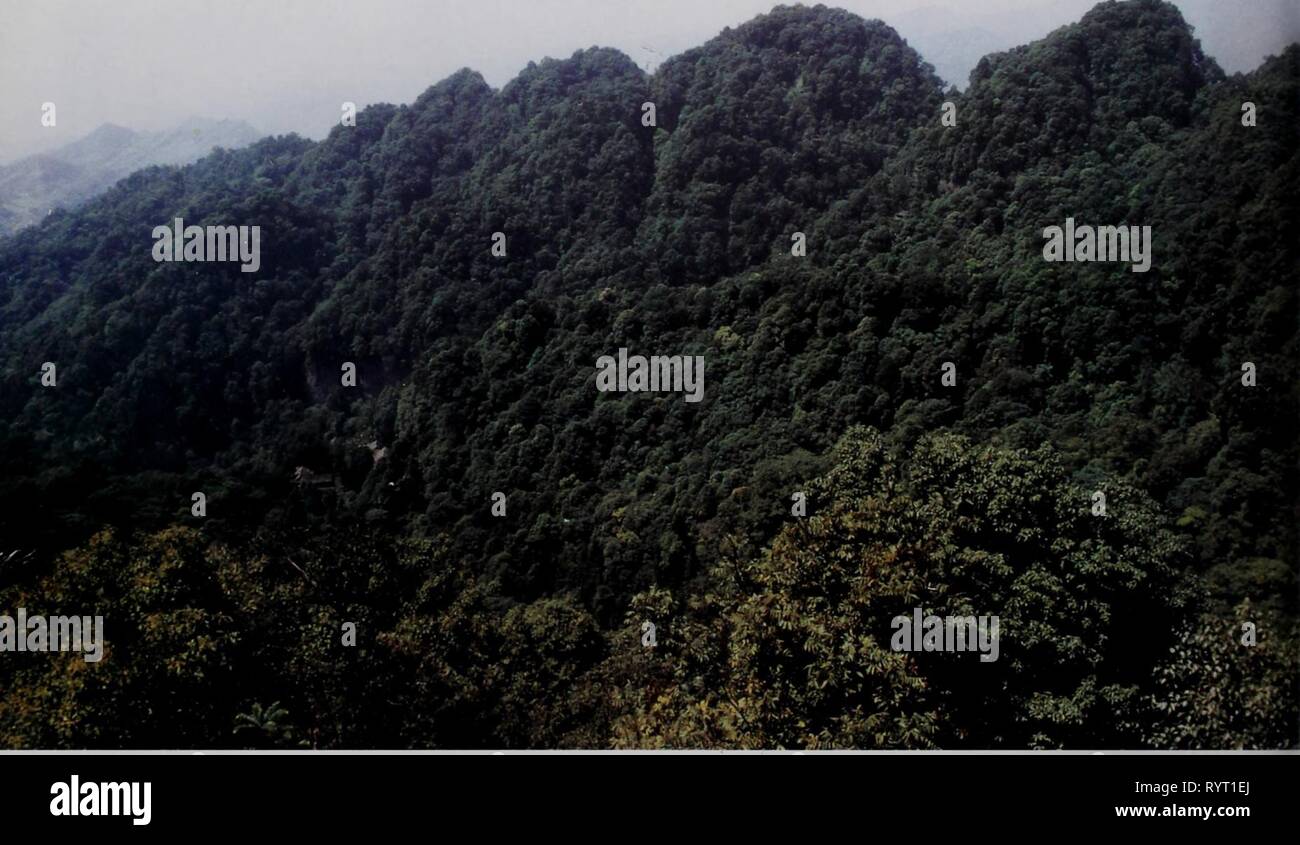 du jiang yan sheng wu 21113234025 o.jpg Stock Photo - Alamy