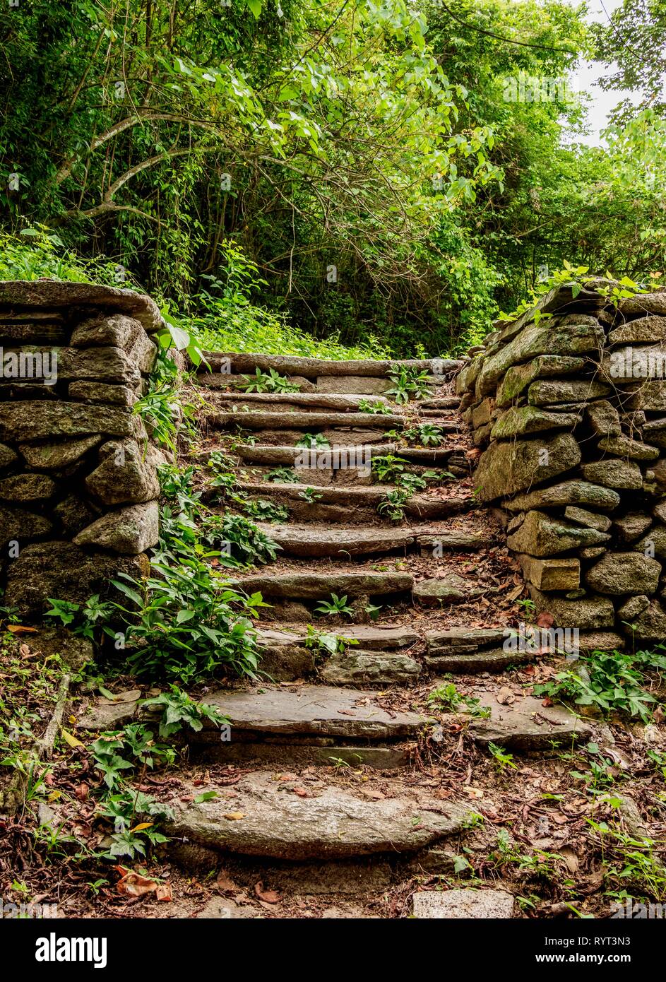 Natural stairs hi-res stock photography and images - Alamy