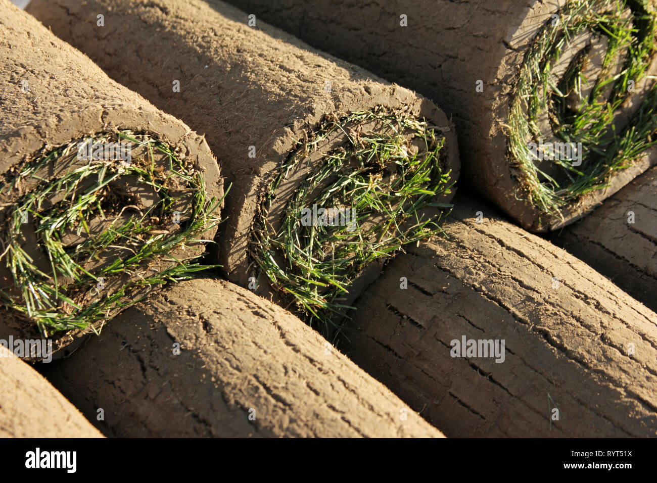 Golf turf cross section hi-res stock photography and images - Alamy