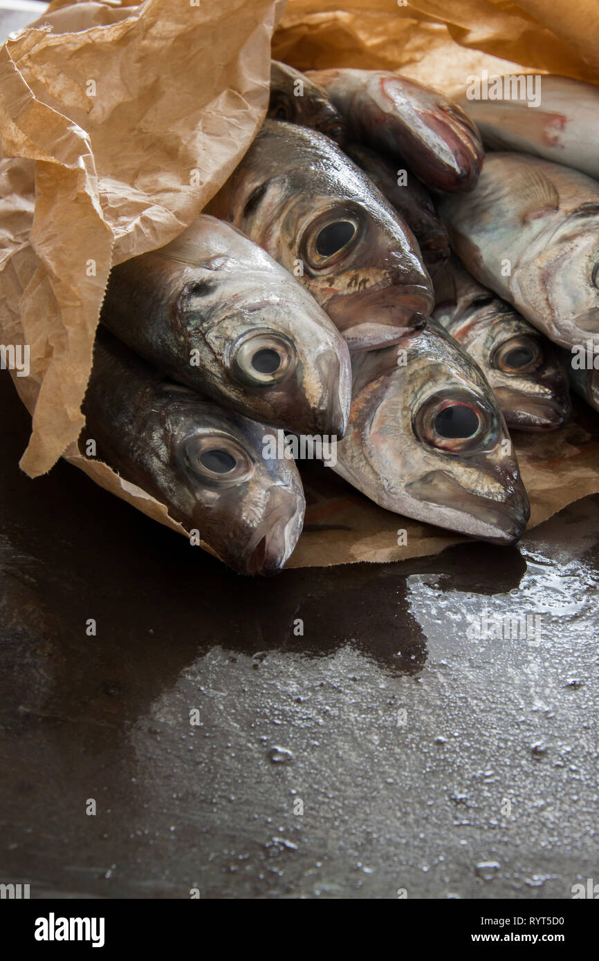 The Mediterranean horse mackerels (Black Sea horse mackerel ...